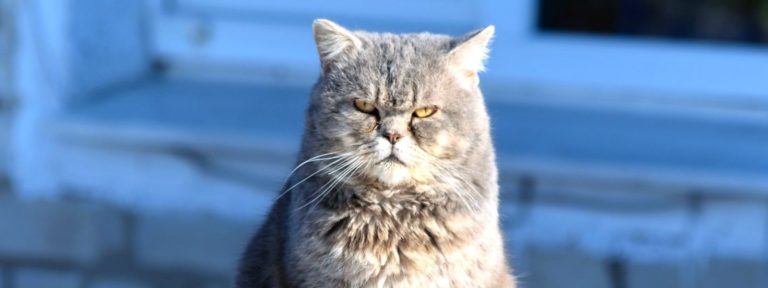 How To Handle Other People s Bad Moods Like A Pro how-to-handle-other-people-s-bad-moods-like-a-pro